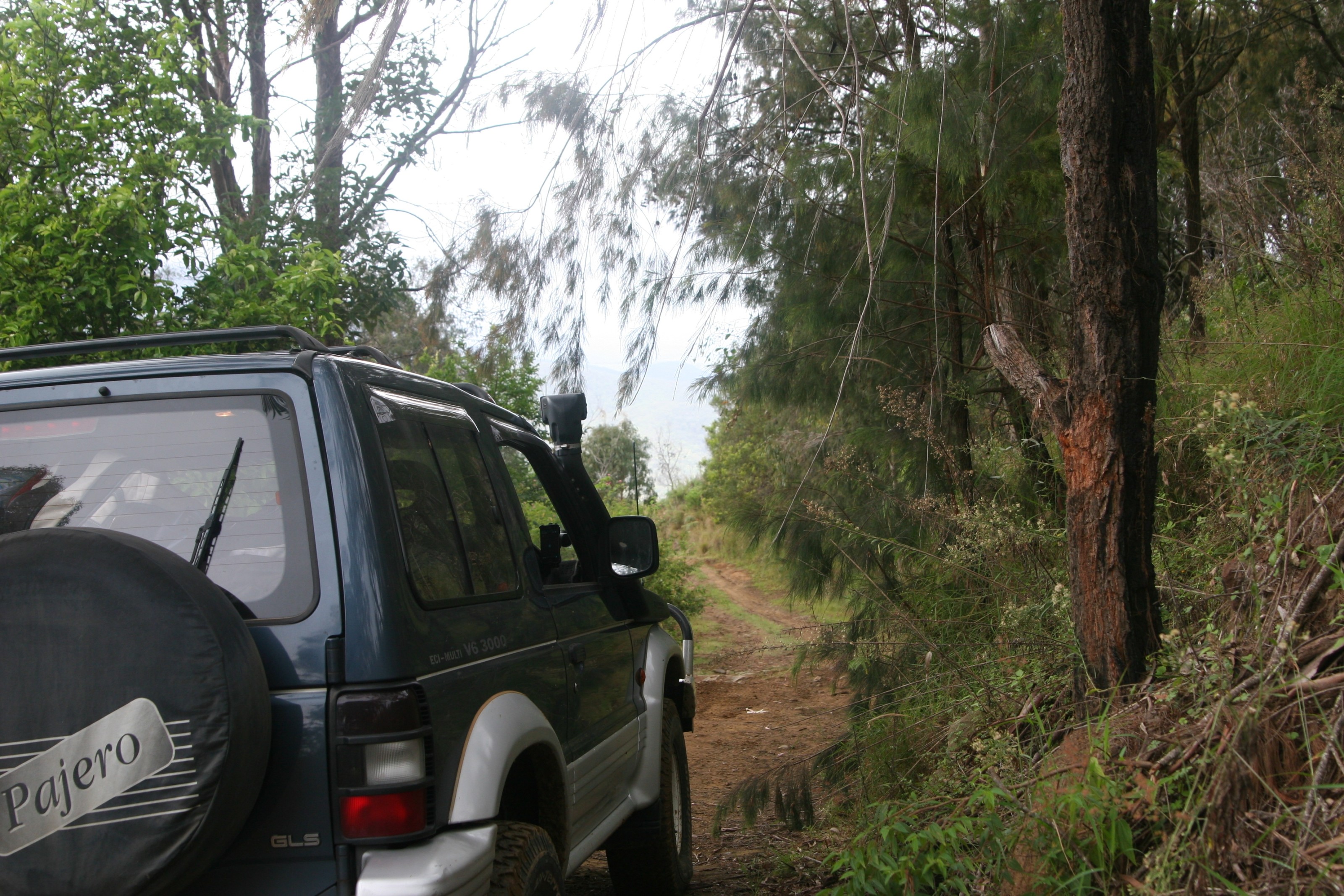 4wd Trip to Rathdowney & Mt Barney National Park - Tough Toys